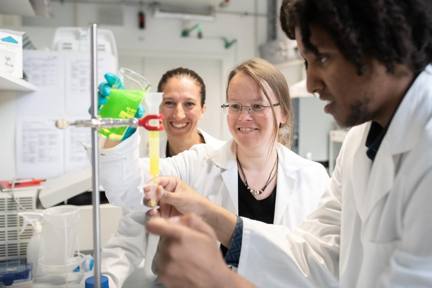 Fluorescent Dye [IMAGE] | EurekAlert! Science News Releases