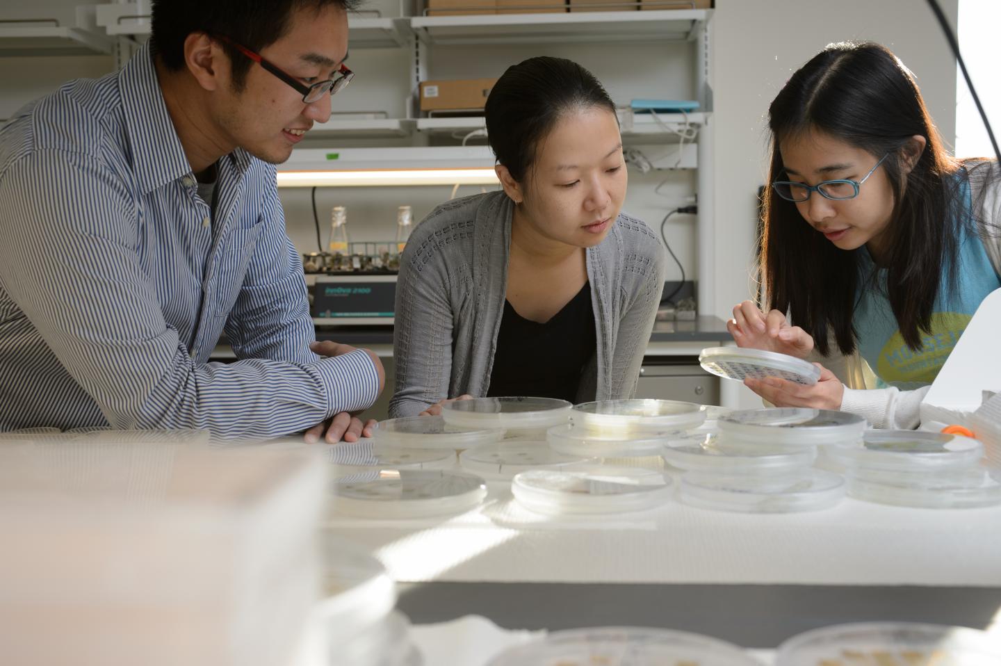 Christoph Benning, Michigan St [IMAGE] | EurekAlert! Science News Releases