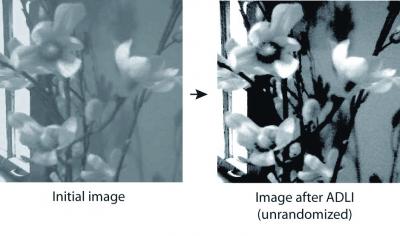 Image Processed With Dynamic C [IMAGE] | EurekAlert! Science News Releases