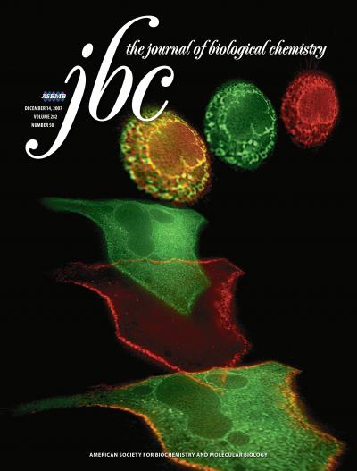 Cystic fibrosis proteins photographed interac | EurekAlert!