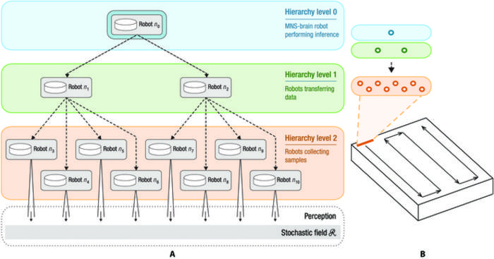 Overview of the self-organized [IMAGE] | EurekAlert! Science News Releases