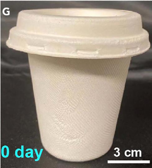 Cup [IMAGE] | EurekAlert! Science News Releases