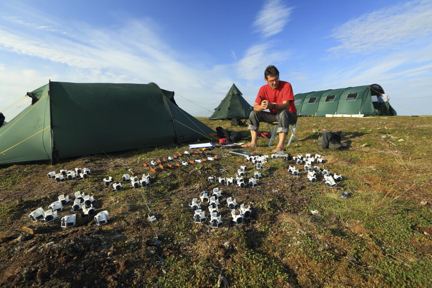 Animal Tracking Meets Big Data (3 of 6) | EurekAlert!