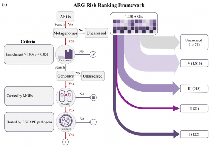 Framework [image] Eurekalert Science News Releases