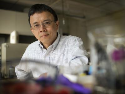 American Physical Society names UT Arlington | EurekAlert!