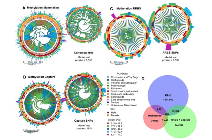 Figure 3 [IMAGE] | EurekAlert! Science News Releases