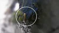 Waterfall-Climbing Fish Performs Evolutionary | EurekAlert!