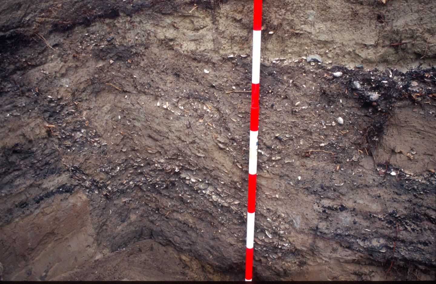 Kumara pit detailed [IMAGE] | EurekAlert! Science News Releases