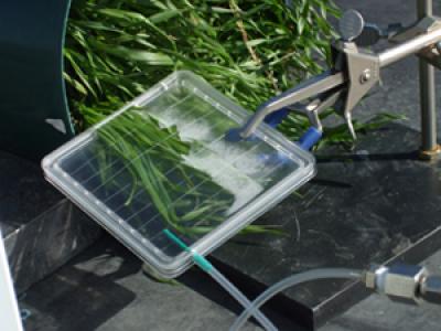 Isotope Labeling Experiment [IMAGE] | EurekAlert! Science News Releases