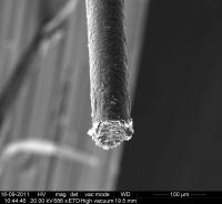 Aboriginal Australian Genome Sequenced (3 of | EurekAlert!