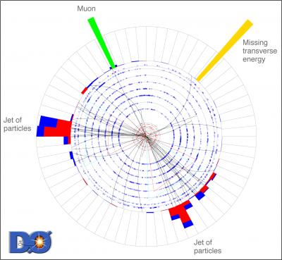 Detection of Single Top Quark [IMAGE] | EurekAlert! Science News Releases