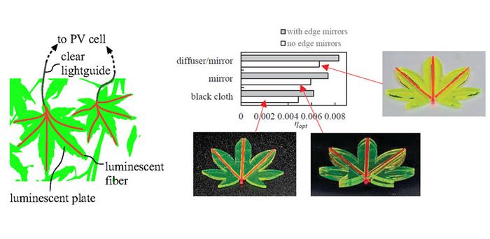 Maple-leaf-shaped luminescent [IMAGE] | EurekAlert! Science News Releases