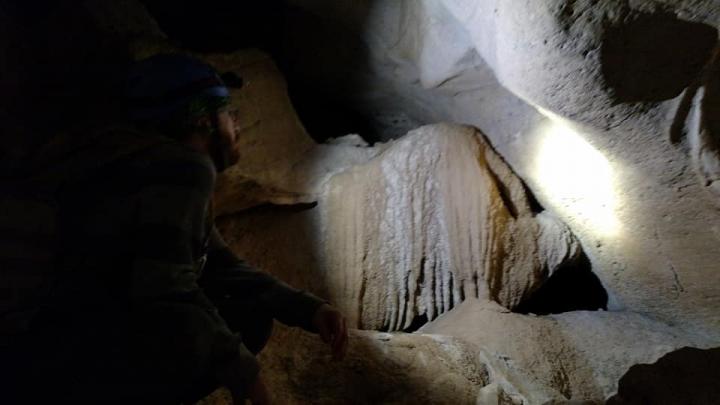 Lead Author Dr. Marc Milne in [IMAGE] | EurekAlert! Science News Releases