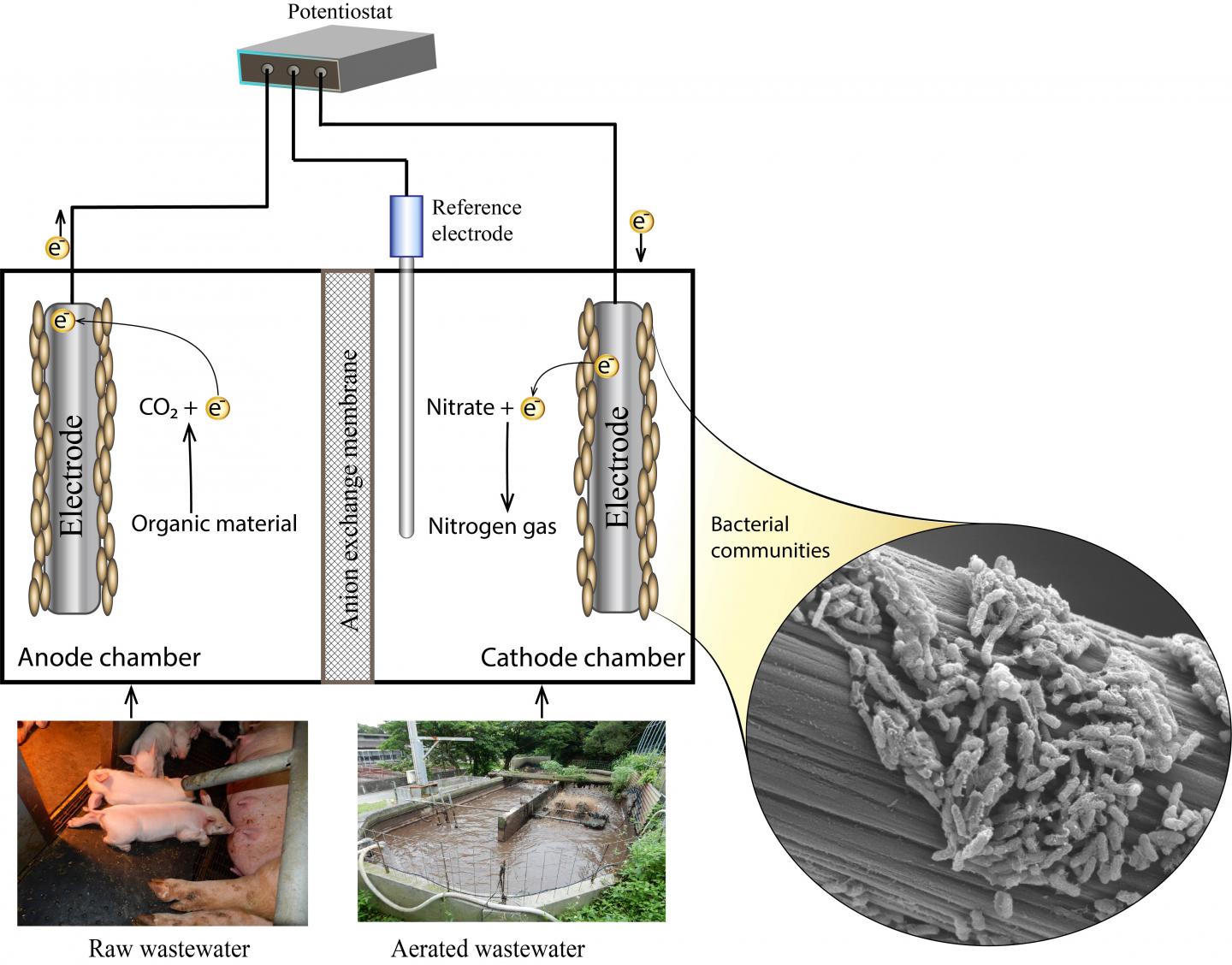 The Novel System Used To Treat [image] Eurekalert Science News Releases