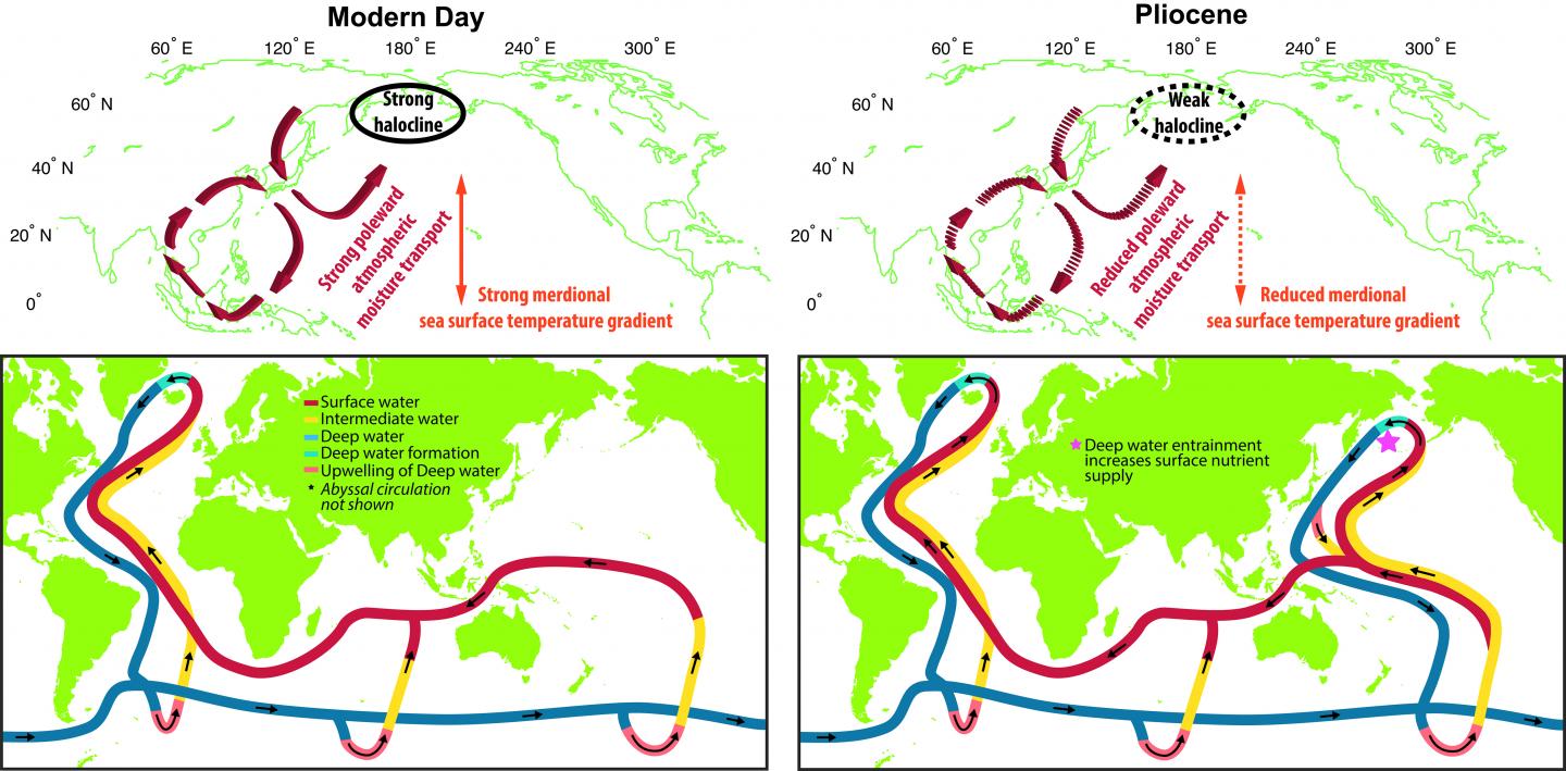 In the Pliocene, the Pacific O [IMAGE] | EurekAlert! Science News Releases