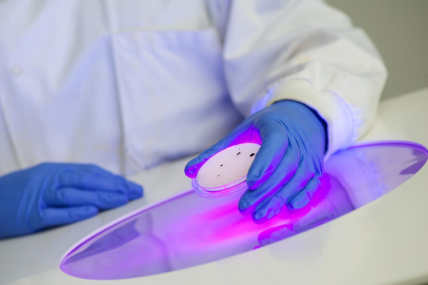 Experimental work in the ROLES [IMAGE] | EurekAlert! Science News Releases