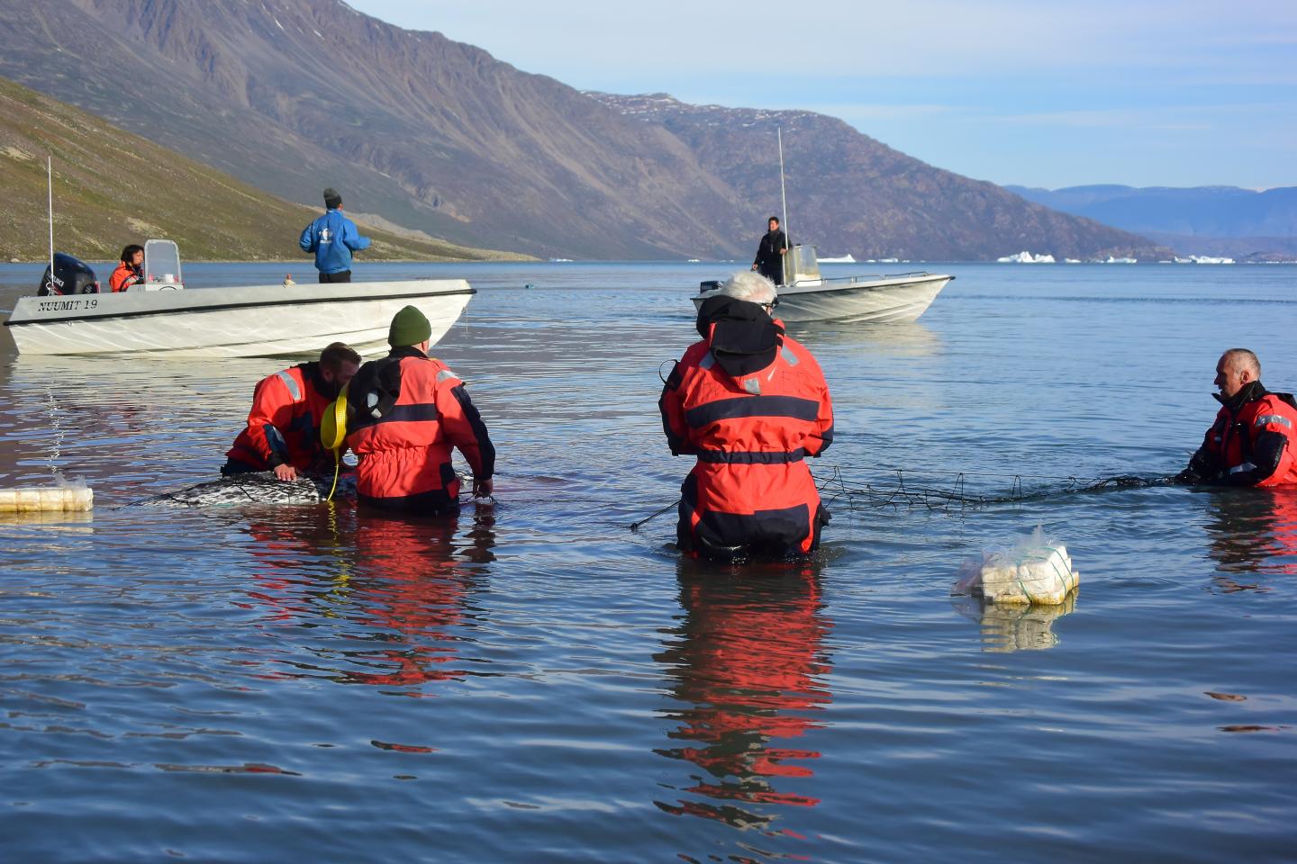 Freeze and Flee: The Costly 'Escape' Response | EurekAlert!