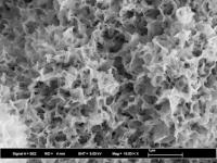 Lehigh U. researchers: 'One step closer to un | EurekAlert!