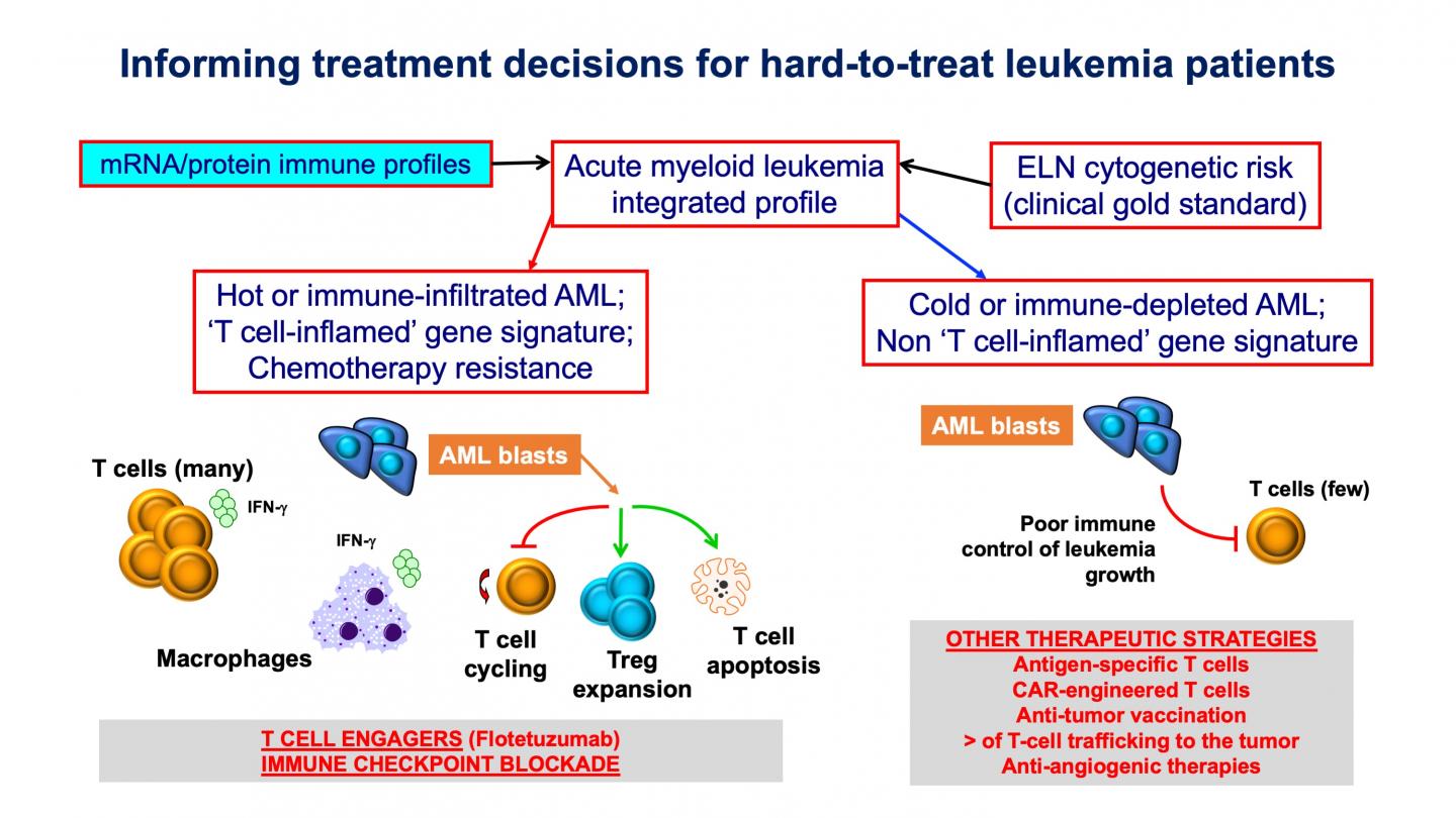 Leukemia Immune Profiles Predict Drug Resista | EurekAlert!