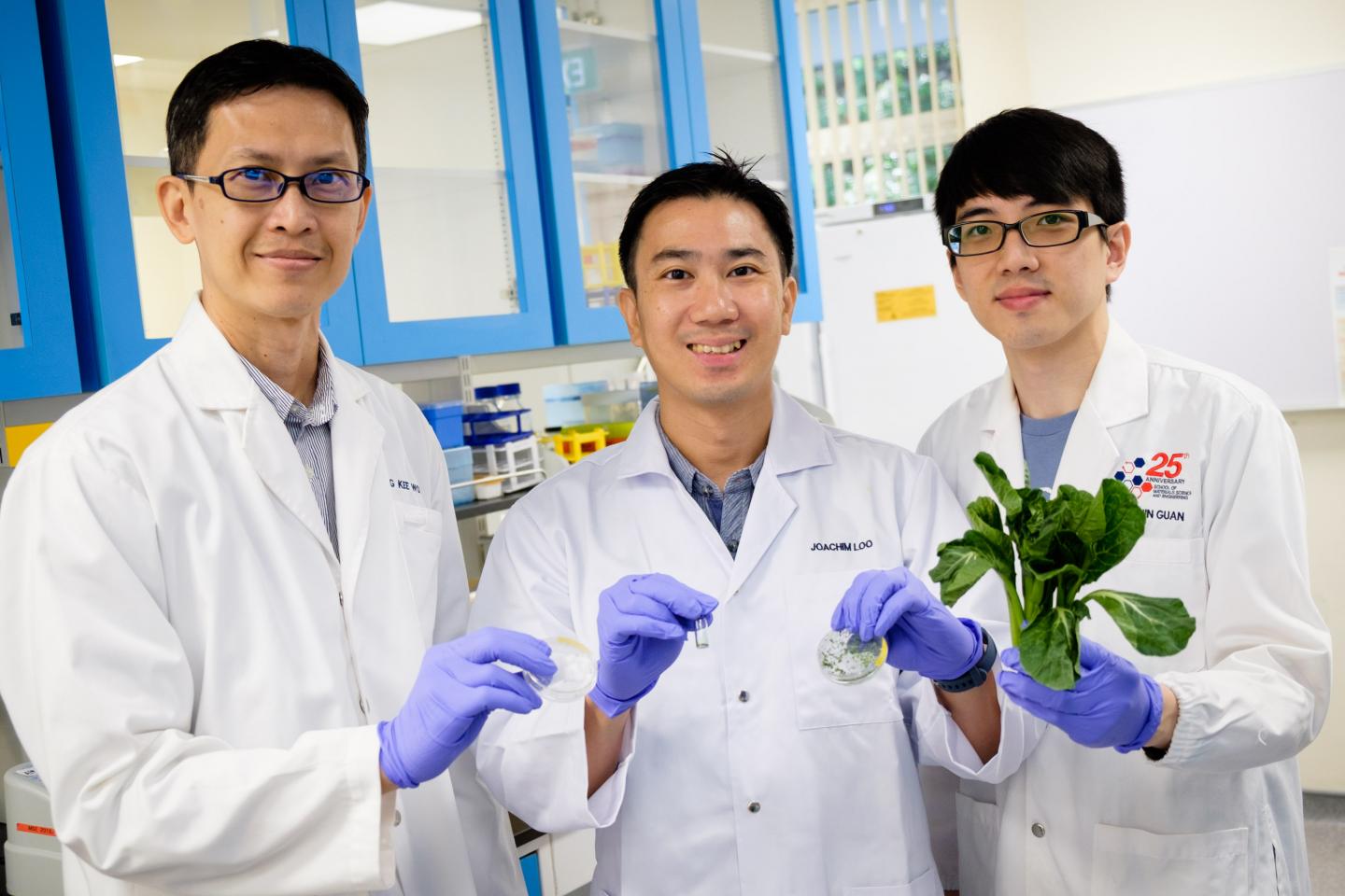 NTU and Harvard scientists discover fat-block | EurekAlert!