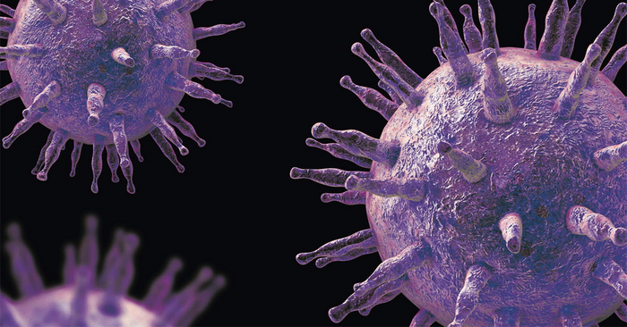 Epstein-Barr virus [IMAGE] | EurekAlert! Science News Releases