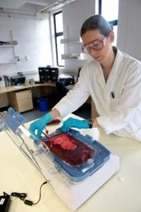 New technology to transform blood processing | EurekAlert!