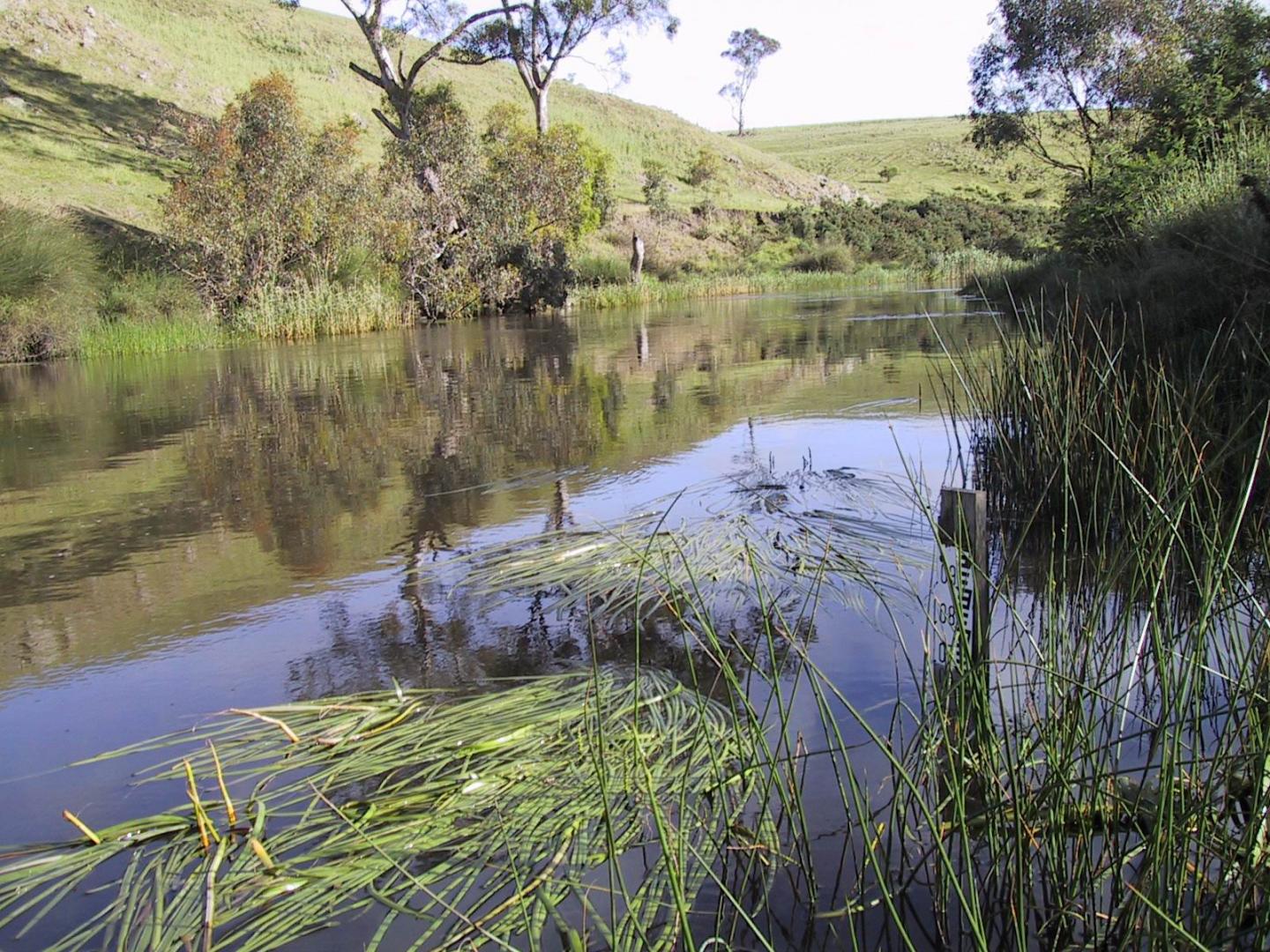 Saving Salt Polluted Freshwater Ecosystems (1 | EurekAlert!