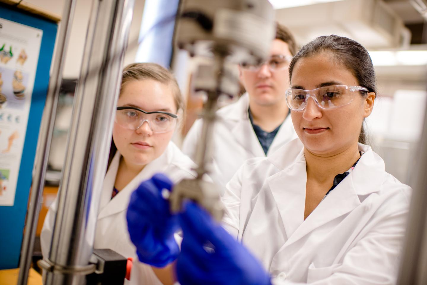 Parisa Pour Shahid Saeed Abadi [IMAGE] | EurekAlert! Science News Releases