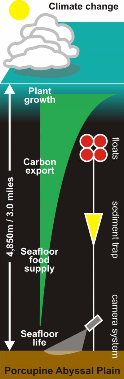 Climate and the Deep Sea [IMAGE] | EurekAlert! Science News Releases
