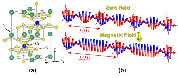Chiral Magnet [IMAGE] | EurekAlert! Science News Releases