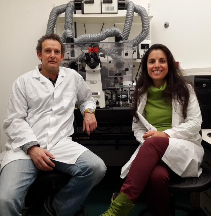 Ron Dzikowski and Inbar Amit-A [IMAGE] | EurekAlert! Science News Releases