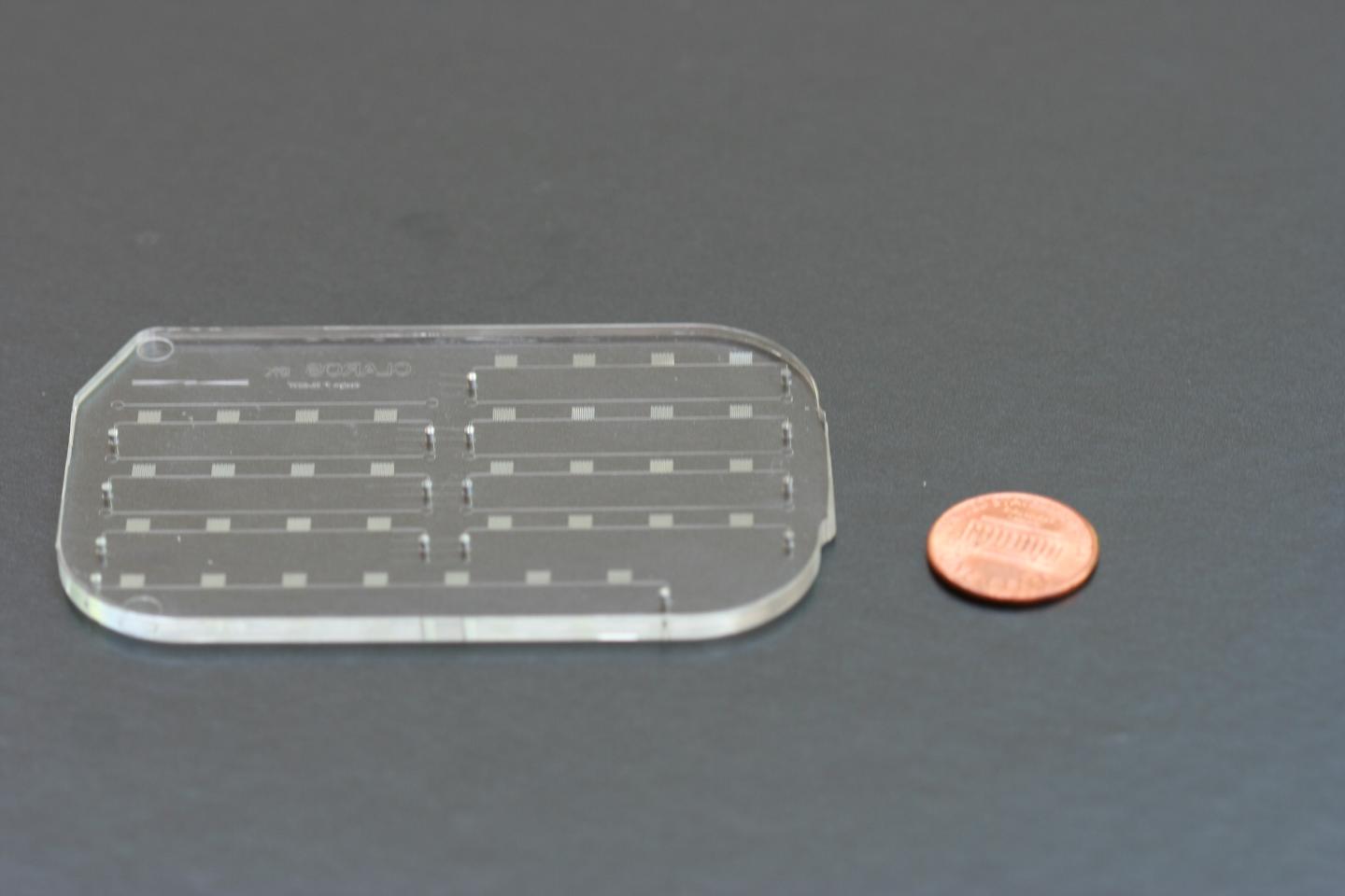 Microfluidic Chip [IMAGE] | EurekAlert! Science News Releases