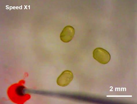 Liquid Magnets that Stick like Solids Yet Flo | EurekAlert!
