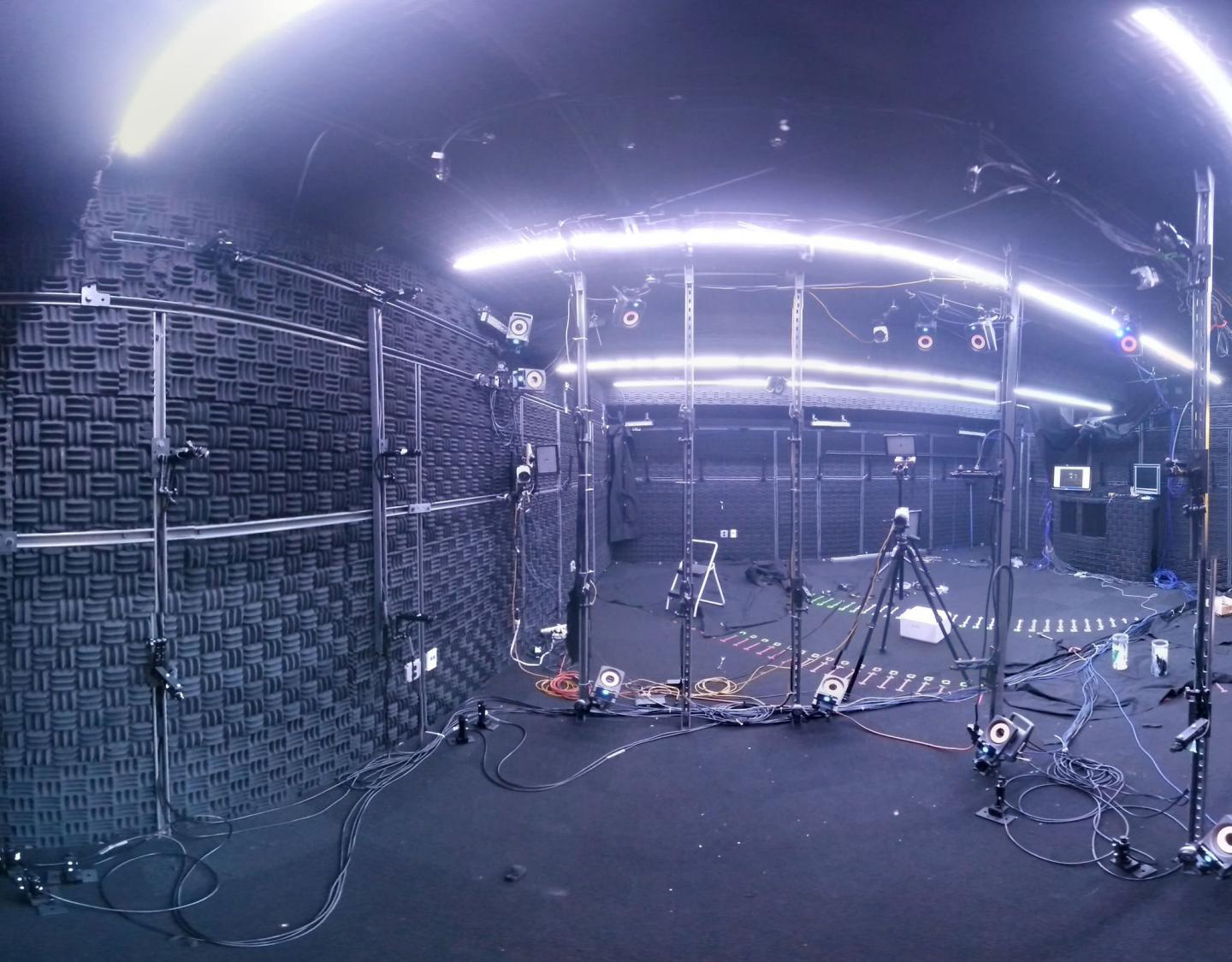 Bat Lab [IMAGE] | EurekAlert! Science News Releases