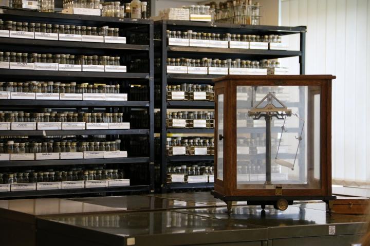 Culture Collection [IMAGE] | EurekAlert! Science News Releases