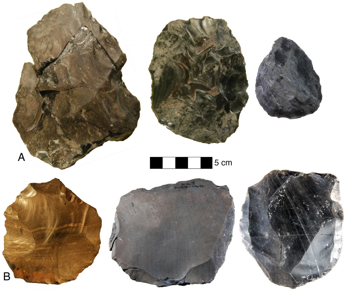 Stone Tool-Making Method Evolved Simultaneous | EurekAlert!