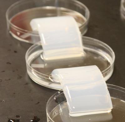 Agarose Salt Bridges [IMAGE] | EurekAlert! Science News Releases