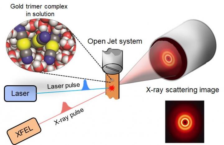 Figure 1. A schematic of the f [IMAGE] | EurekAlert! Science News Releases