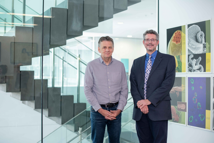 Resistance-fighting antimalarial drug candida | EurekAlert!