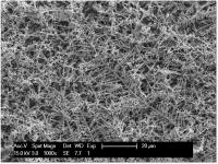 Tiny fractal trees for solar power | EurekAlert!