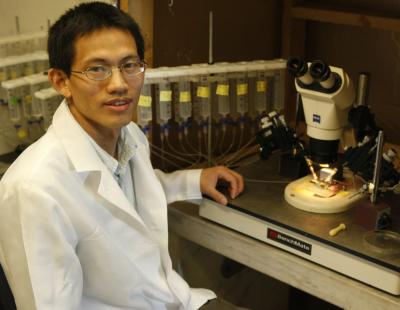 Scientists transplant nose of mosquito, advan | EurekAlert!