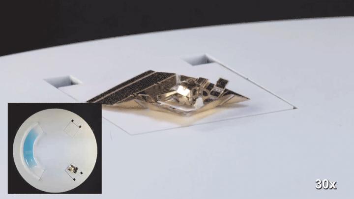 Robot Morphs on Demand Using 'Self-folding' O | EurekAlert!