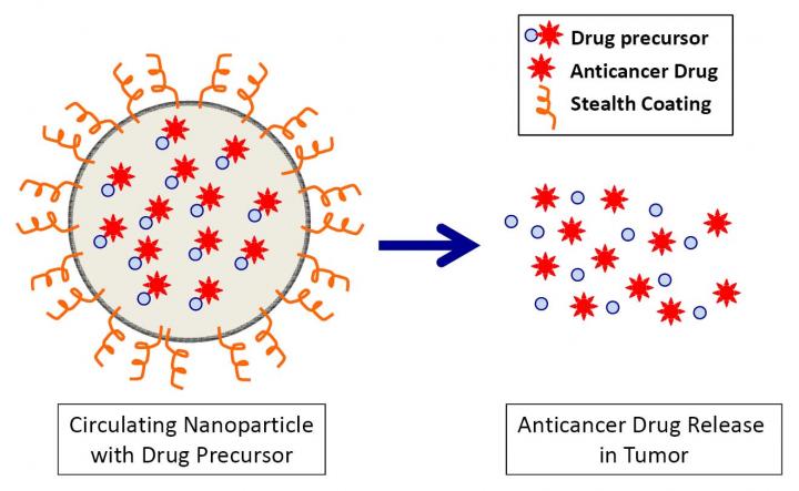 Nanoparticle for Anticancer Dr [IMAGE] | EurekAlert! Science News Releases