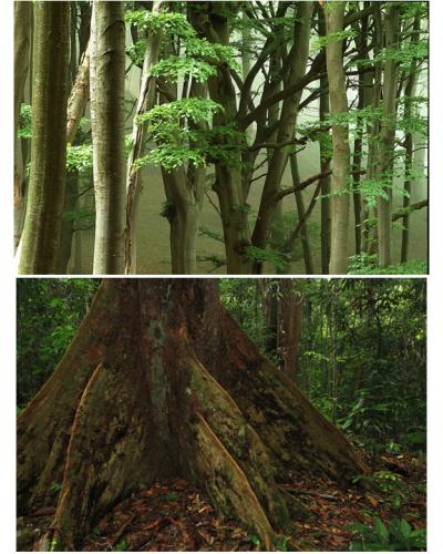 Ecological Processes are the S [IMAGE] | EurekAlert! Science News Releases