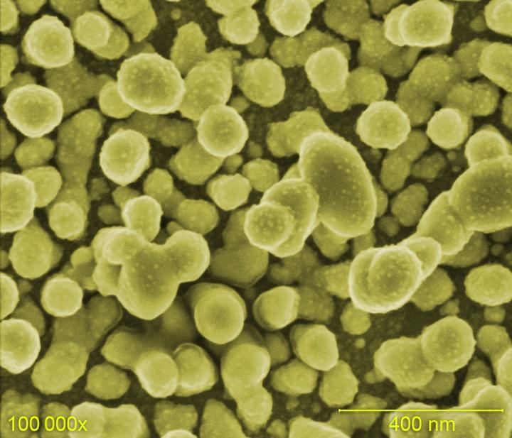 The Microscopic image of the S [IMAGE] | EurekAlert! Science News Releases