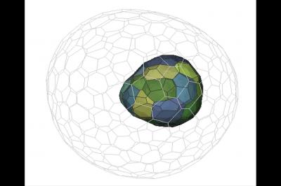 3-D Computer Simulation of Cel [IMAGE] | EurekAlert! Science News Releases