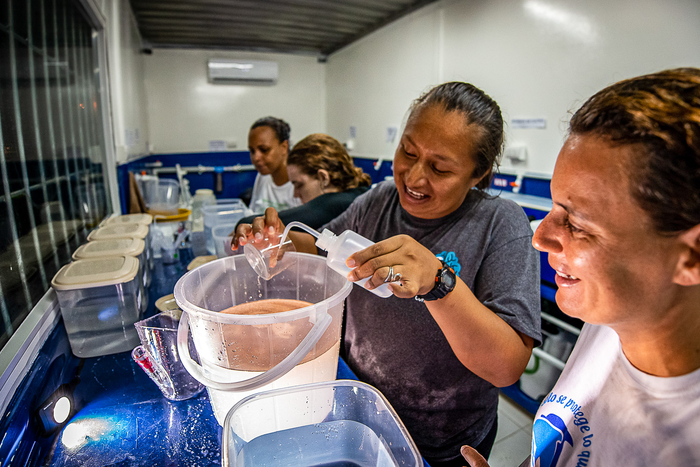 Coral restoration training [IMAGE] | EurekAlert! Science News Releases
