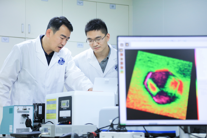 Holistic evolution of charge transfer to phot | EurekAlert!