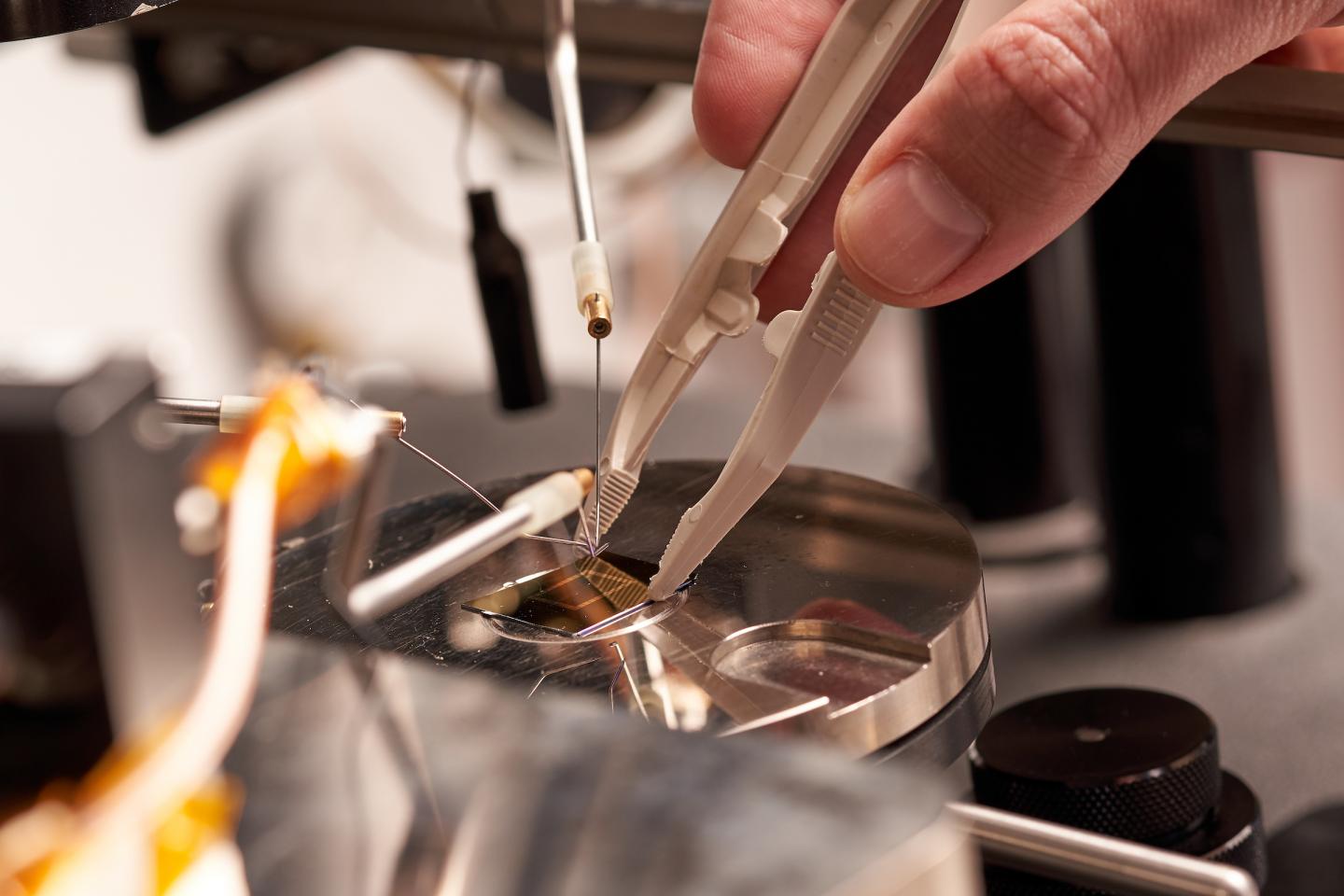 The New Ultra-Thin Chip [IMAGE] | EurekAlert! Science News Releases