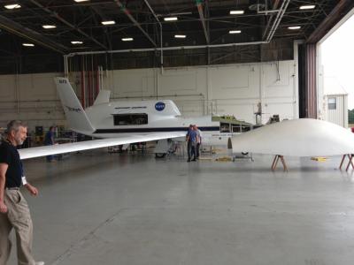 NASA's Hawk Nesting after a Weekend Flight Ov | EurekAlert!